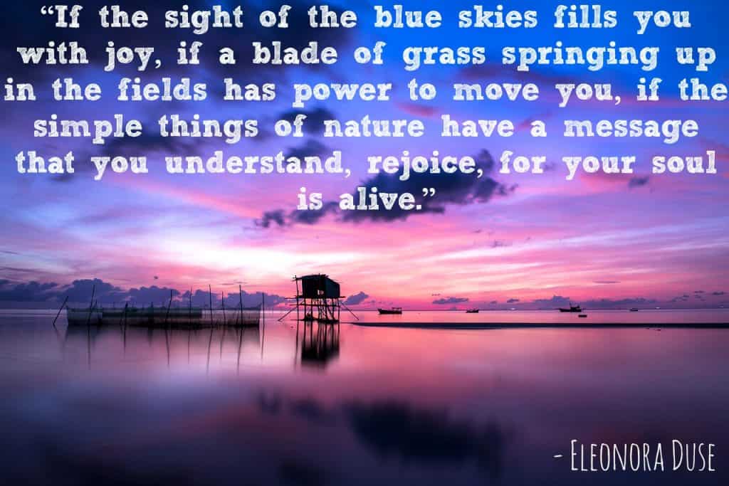 How to Live a Life of Freedom – A Comprehensive 5-Step Guide ...